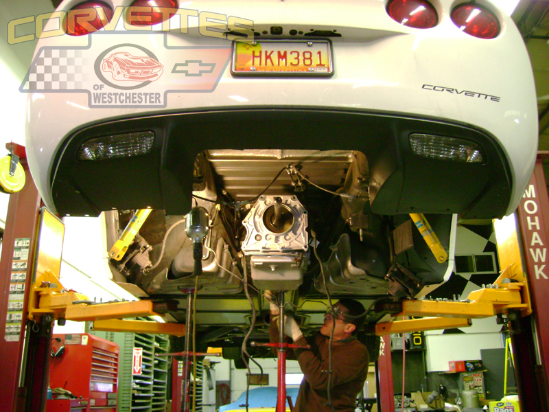 INCREDIBLE JOURNEY ACROSS THE COUNTRY for an E-FORCE SUPERCHARGER ...